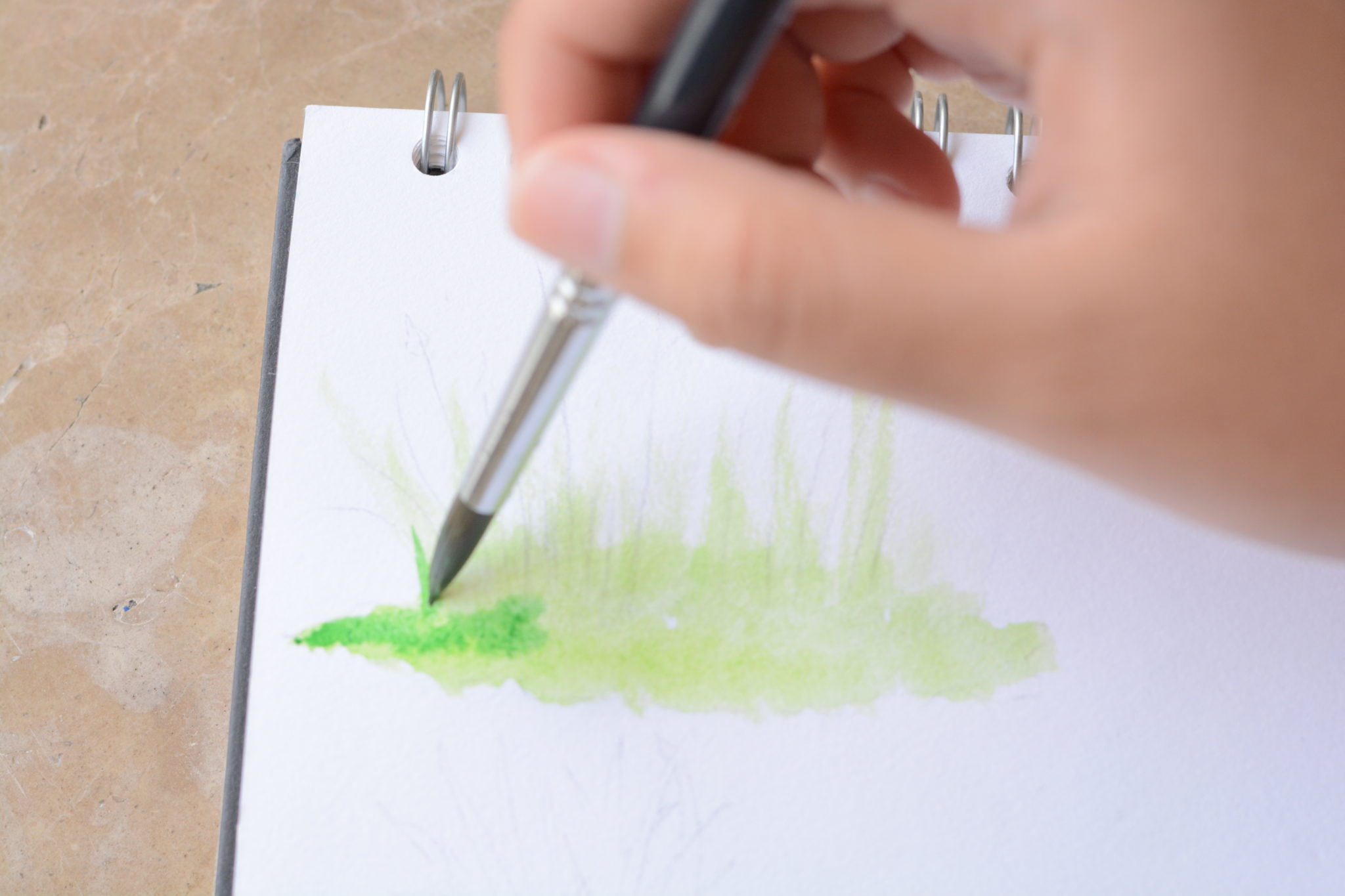 How to paint grass with watercolors - My Art Aspirations